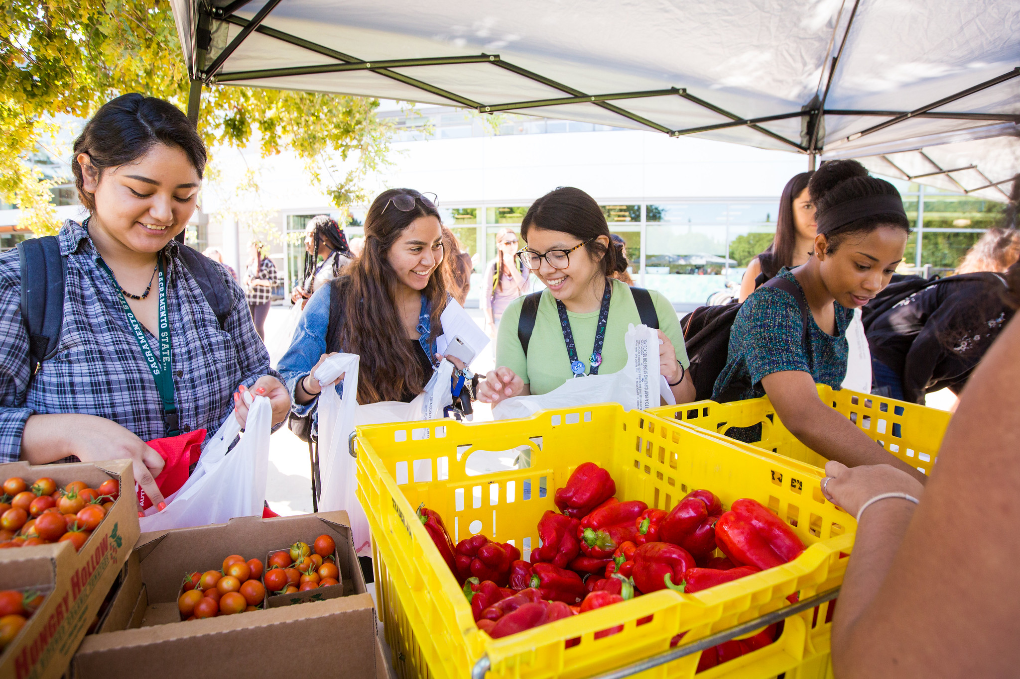 Whole fruits and vegetables are offered at a pop-up food pantry at ...